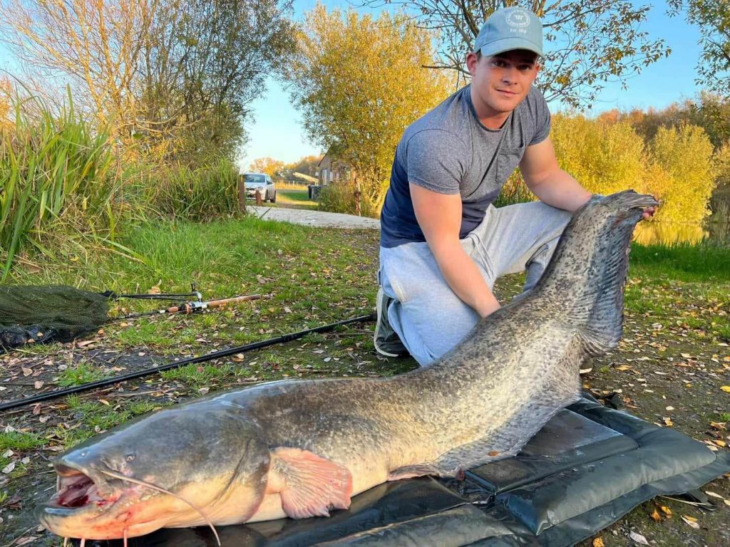 Stub Pond Fisheries – Fishing pond in Felbridge, England